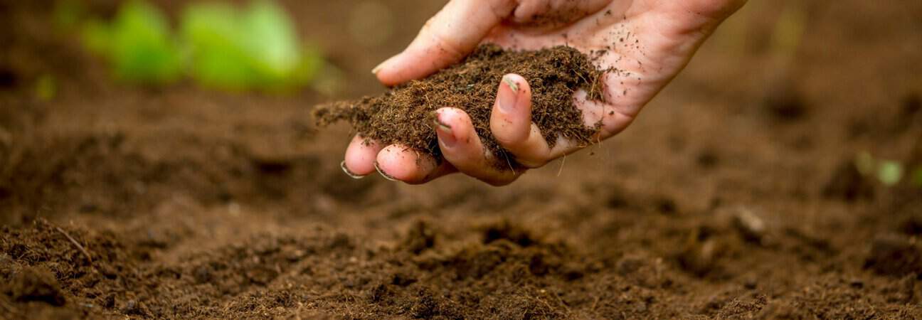 Tips for Preparing Your Lawn for Plant Installation This Spring