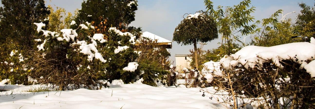3 Tips to Prepare Your Yard for Winter | Redwood Land Design