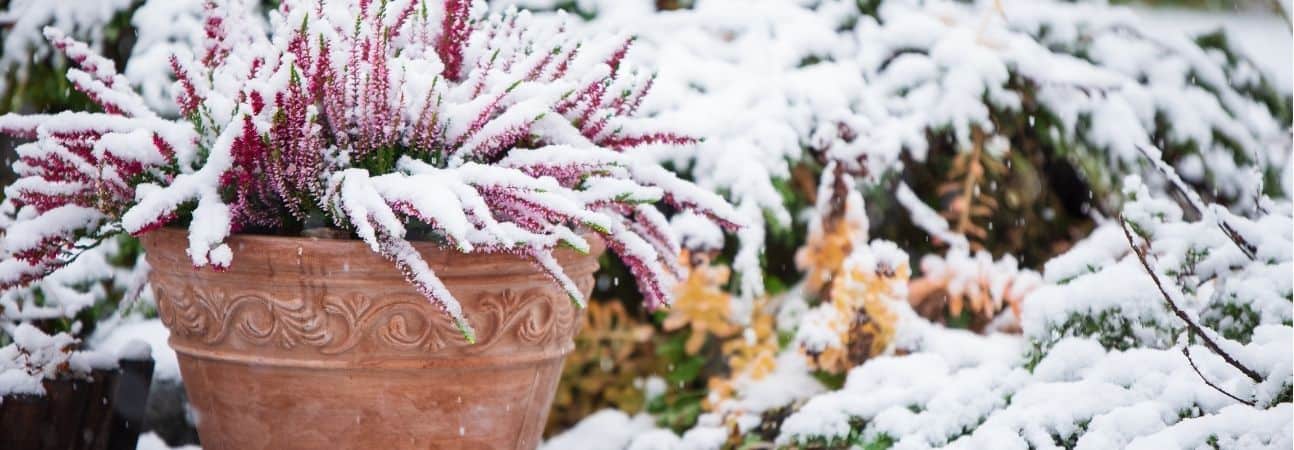 Winter Landscaping: Ideal Projects to Complete in the Cold Season